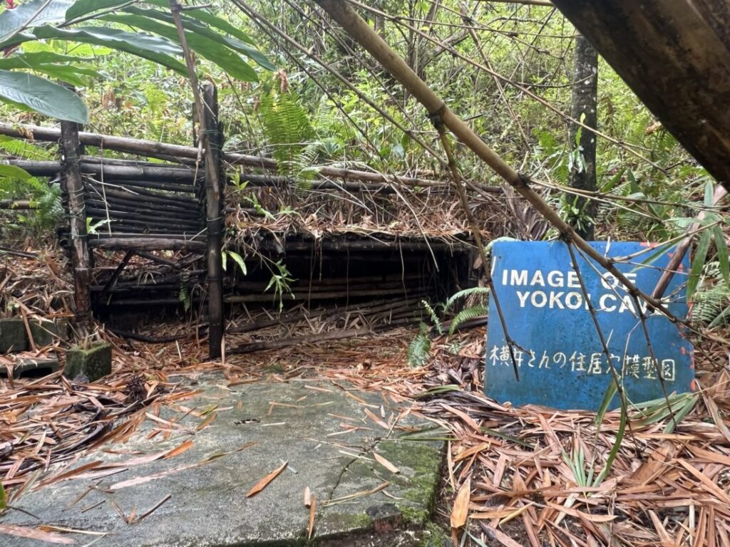 2025.3.2グアム島・横井ケイブ（Yokoi’s Cave）視察報告（日本軍資料買取）｜掛け軸、書道具、中国美術、絵画/現代アートの高価 ...